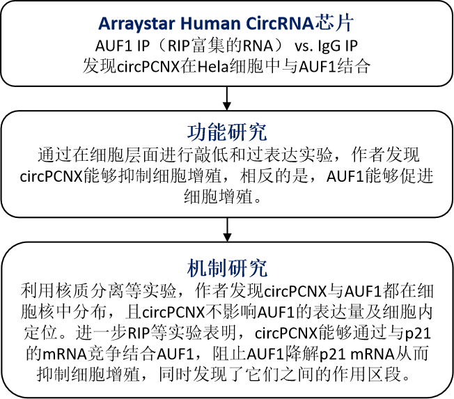 CircRNA通过与p21mRNA结合AUF1进而抑制细胞增殖_美必思医学编译