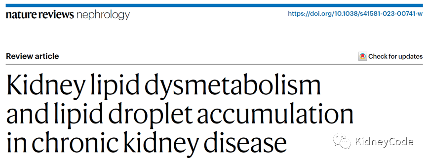 Nat Rev Nephrol:肾脂质代谢和脂滴沉积对慢肾病影响_美必思医学编译
