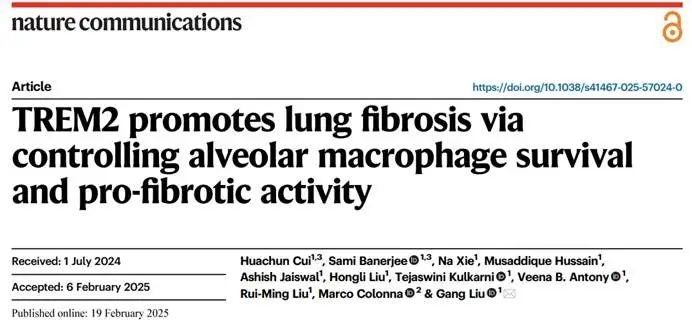 Nature子刊：TREM2通过调控肺泡巨噬细胞活性促进肺_美必思医学编译