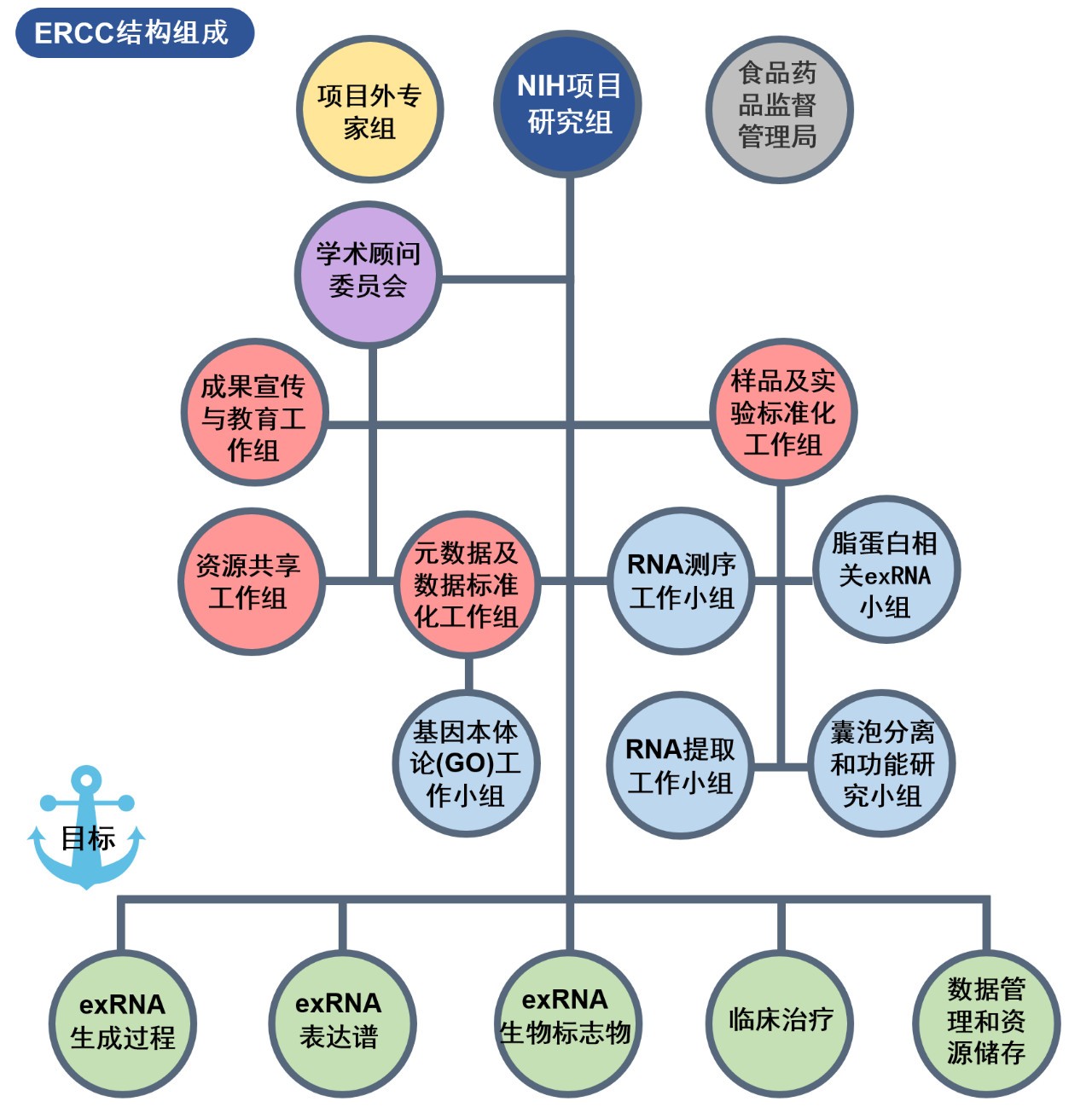 聚焦Cell报道:认识细胞外exRNA和ERCC_美必思医学编译