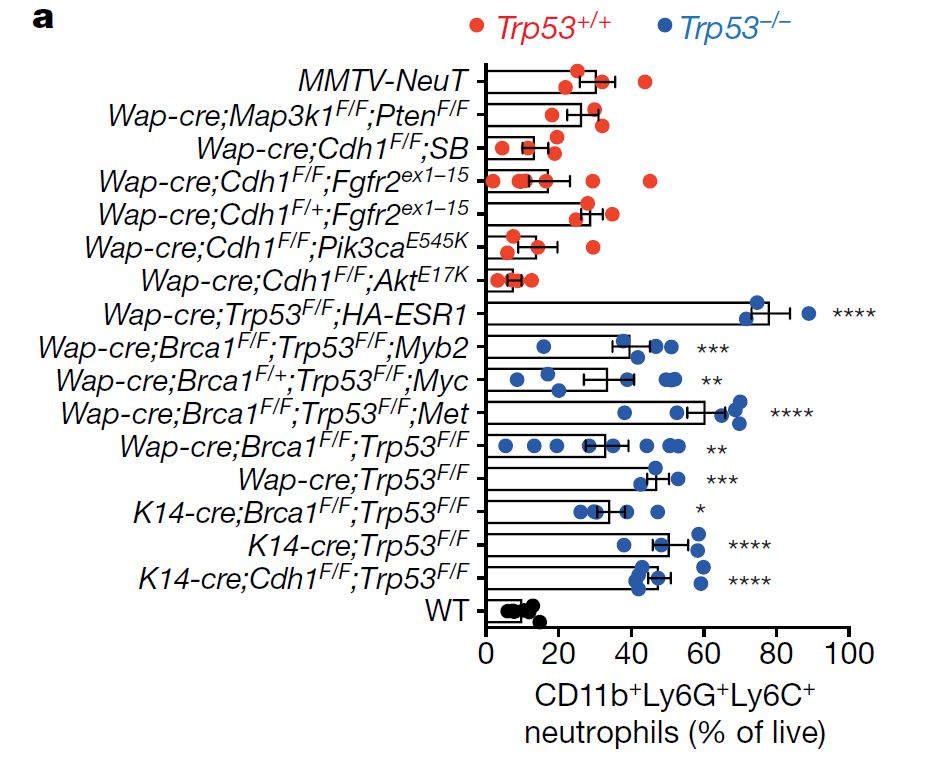 Nature发表：p53基因缺失促进乳腺癌转移的机制_美必思医学编译