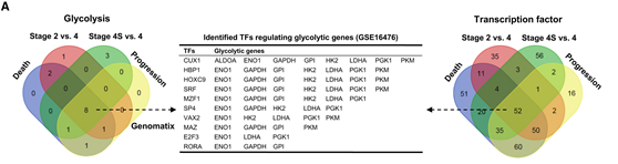 分析一例国基金热点circRNA课题设计思路_美必思医学编译