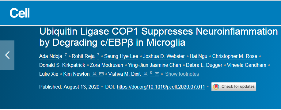 Cell | 揭示病理性小胶质细胞基因表达调控新机制_美必思医学编译
