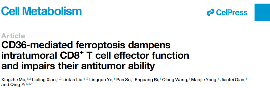 Cell子刊：CD36调节肿瘤内CD8+T细胞功能的新机制_美必思医学编译