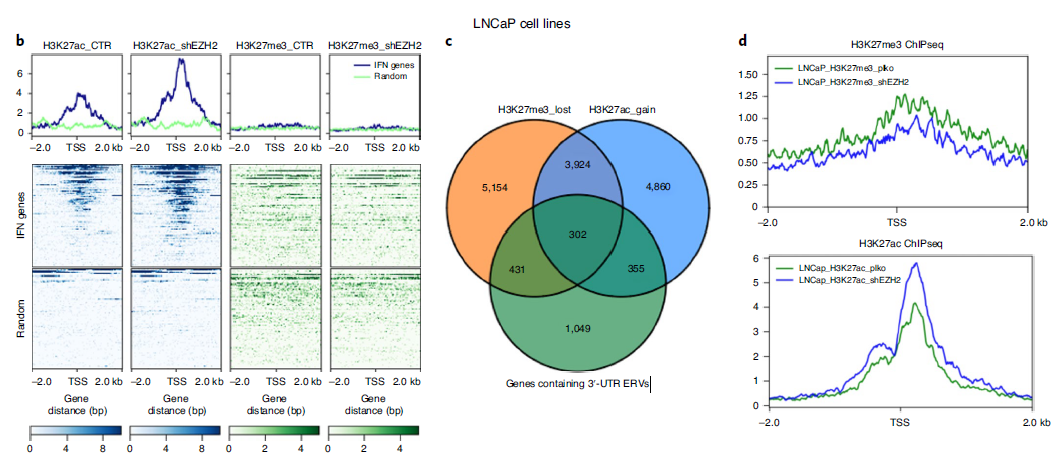 Nature子刊：EZH2+PD-1抑制剂,增强前列腺癌疗效_美必思医学编译