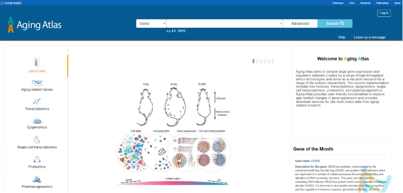 如何将表型研究热点恰当地融入课题设计中_美必思医学编译
