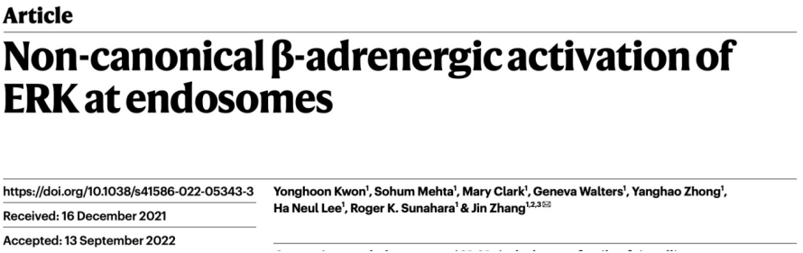 Nature：揭示GPCR激活下游ERK信号通路的机理_美必思医学编译