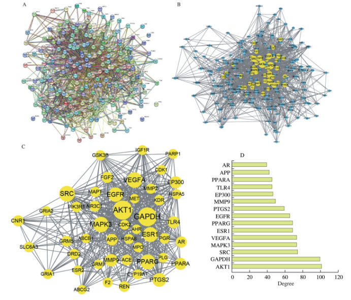 辣木叶提取物的降血糖作用及网络药理学机制预_美必思医学编译