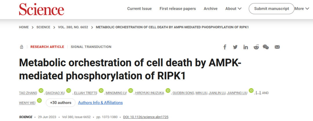 Science:AMPK介导RIPK1磷酸化调控代谢应激下细胞存亡_美必思医学编译