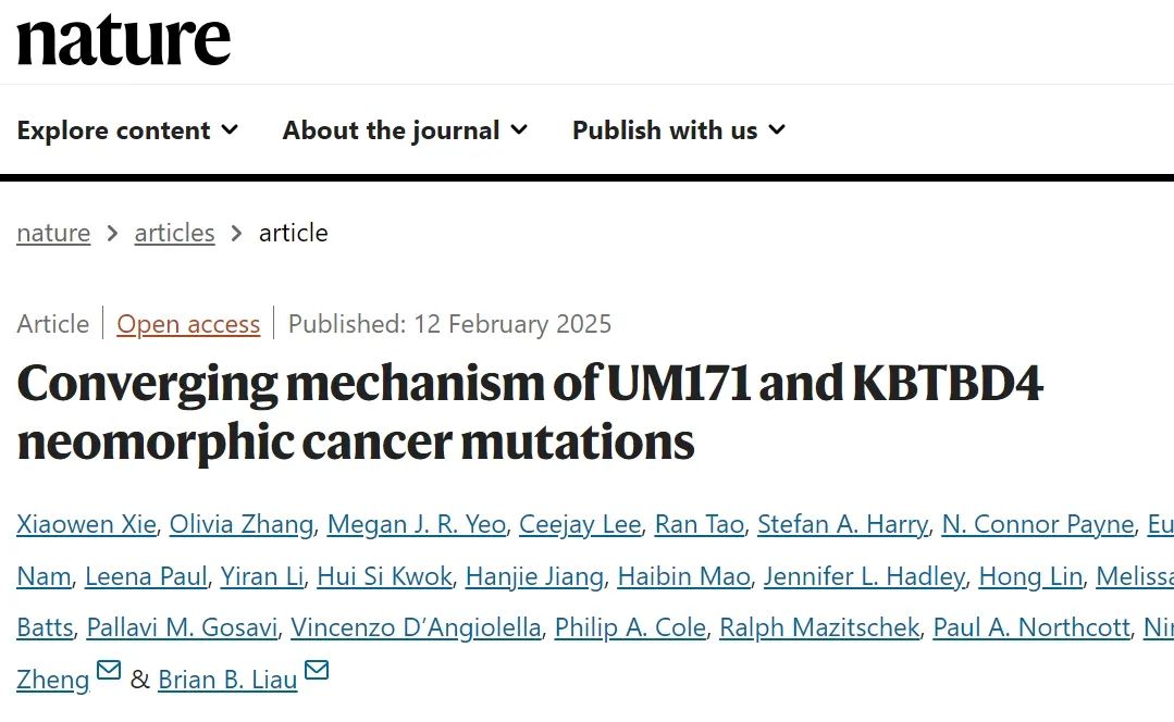 Nature:UM171与KBTBD4突变如何共驱动癌症发展_美必思医学编译